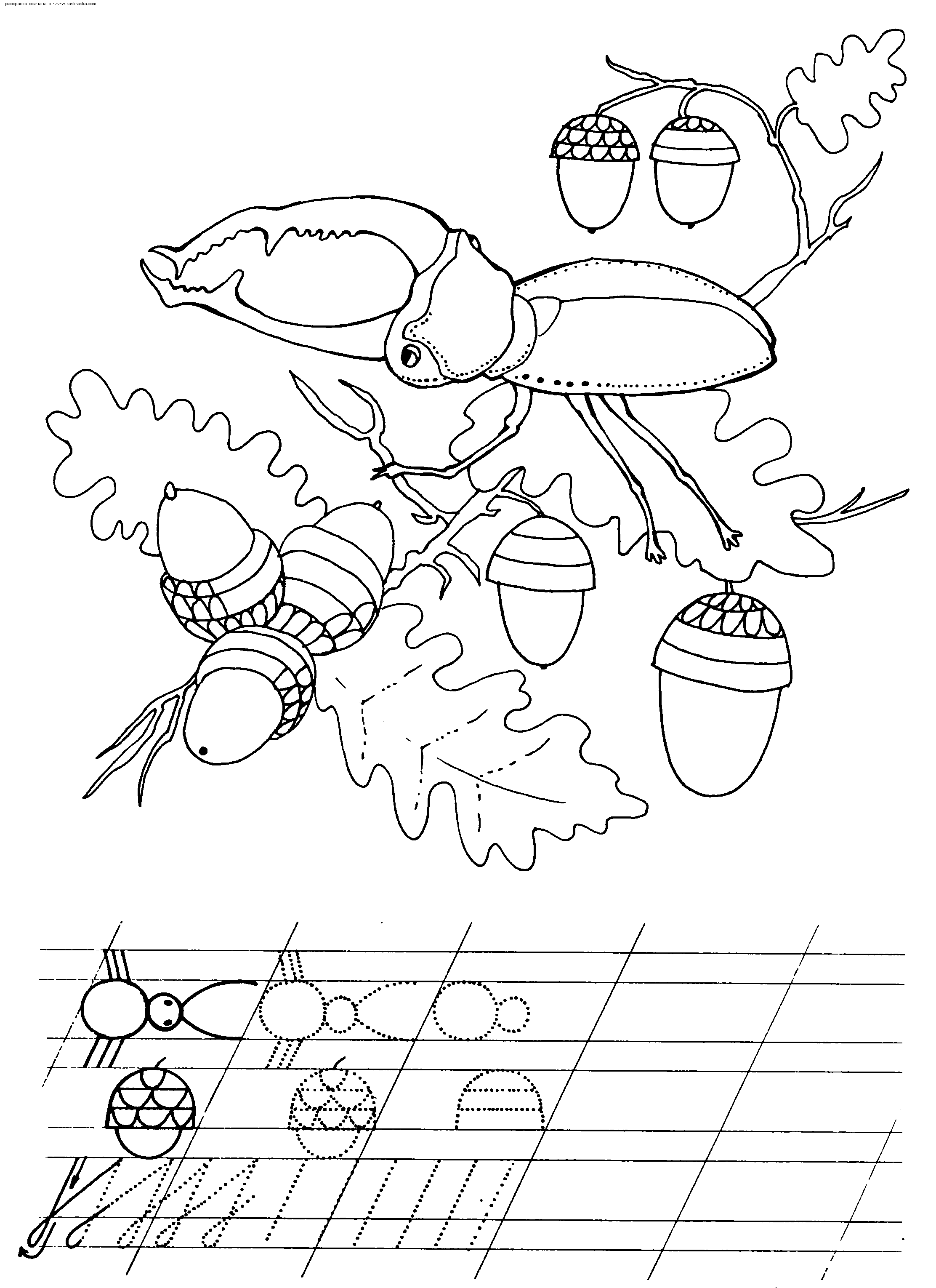 обучающие раскраски для детей развивающие раскраски для малышей
