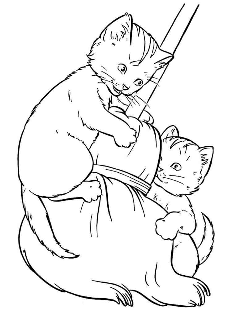 раскраски кошка