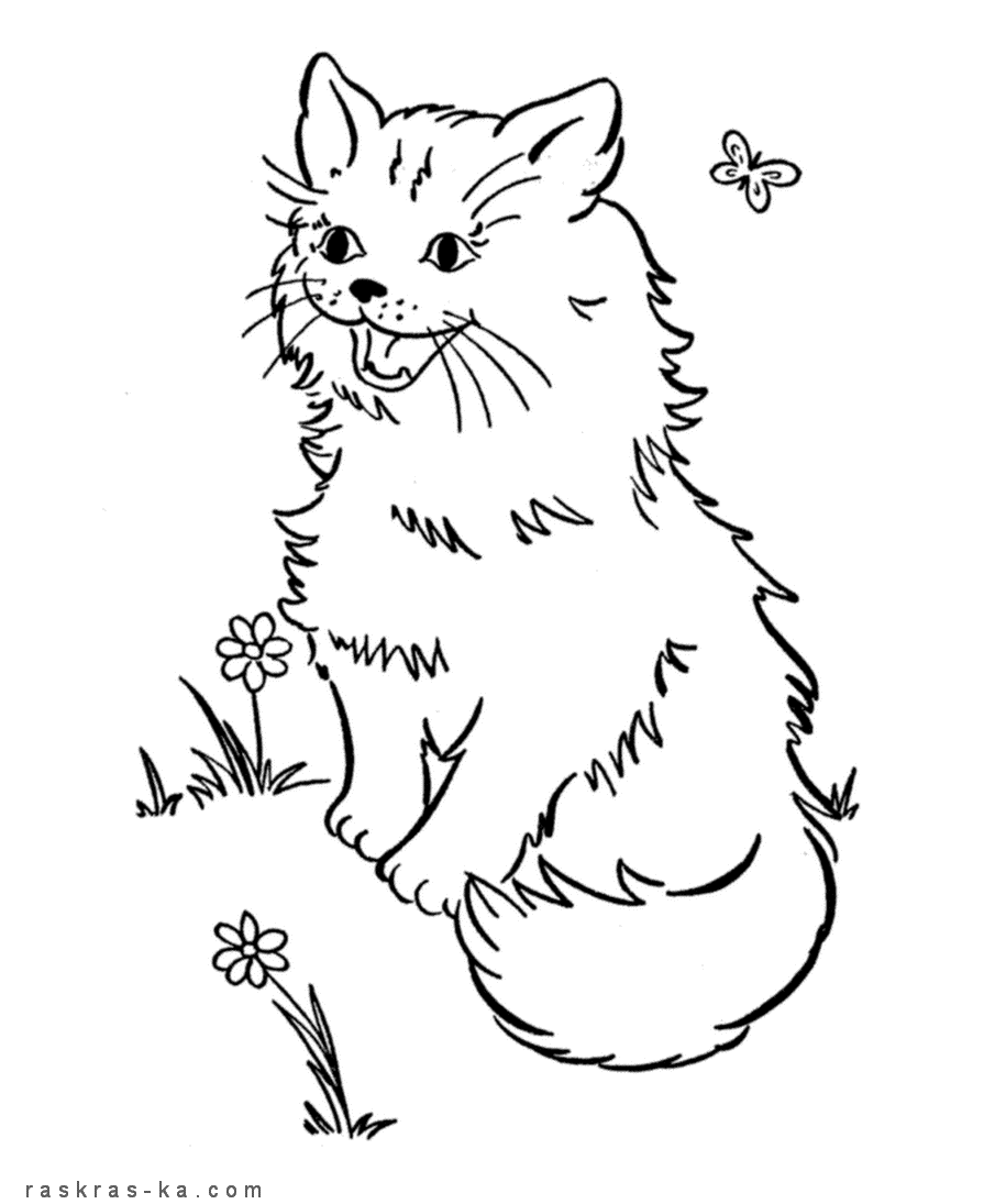 раскраски кошка